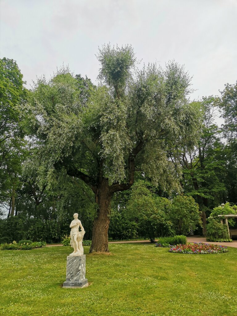 Park, sokak heykeli Зефир, Puşkin, foto
