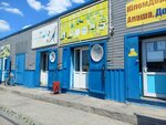 Satellite TV Salon (Anton Çekhov street No:58А), antenciler  Semey'den