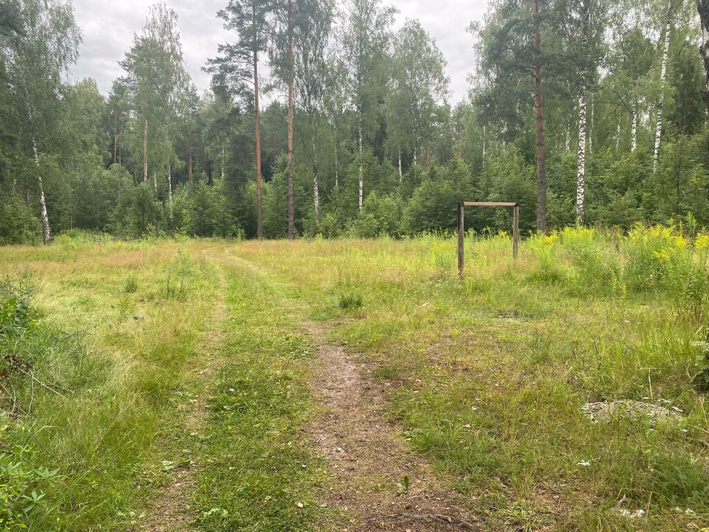 Spor alanı Футбольное поле, Nijegorodskaya oblastı, foto