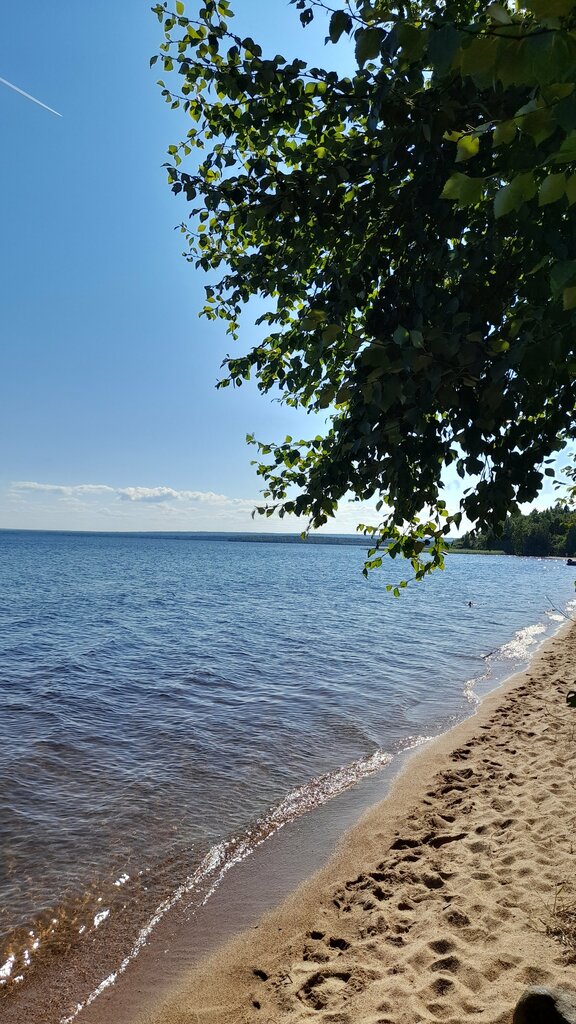 Plaj Пляж Стеклянное, Saint‑Petersburg ve Leningradskaya oblastı, foto
