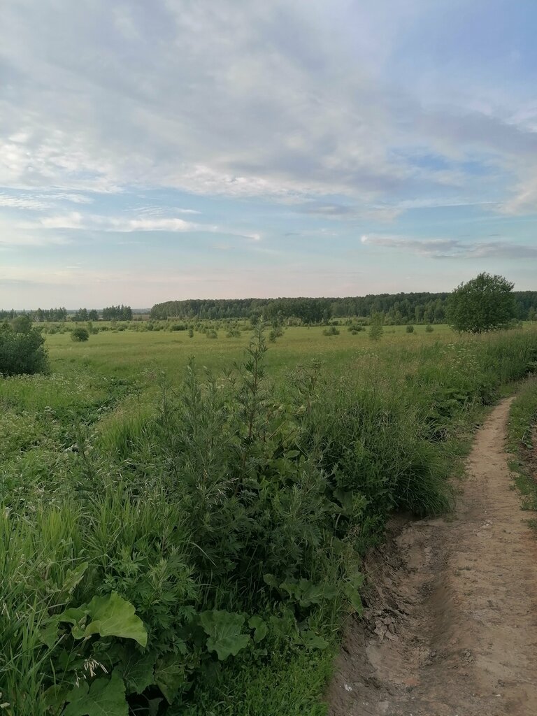 Pınar, çay Spring, stream, Moskova ve Moskovskaya oblastı, foto
