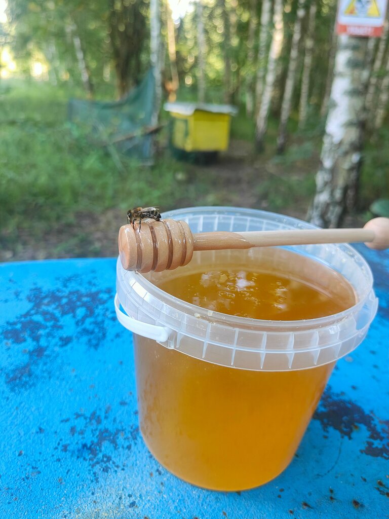 Bal ve arıcılık firmaları StaroHoney, Brianskaya oblastı, foto