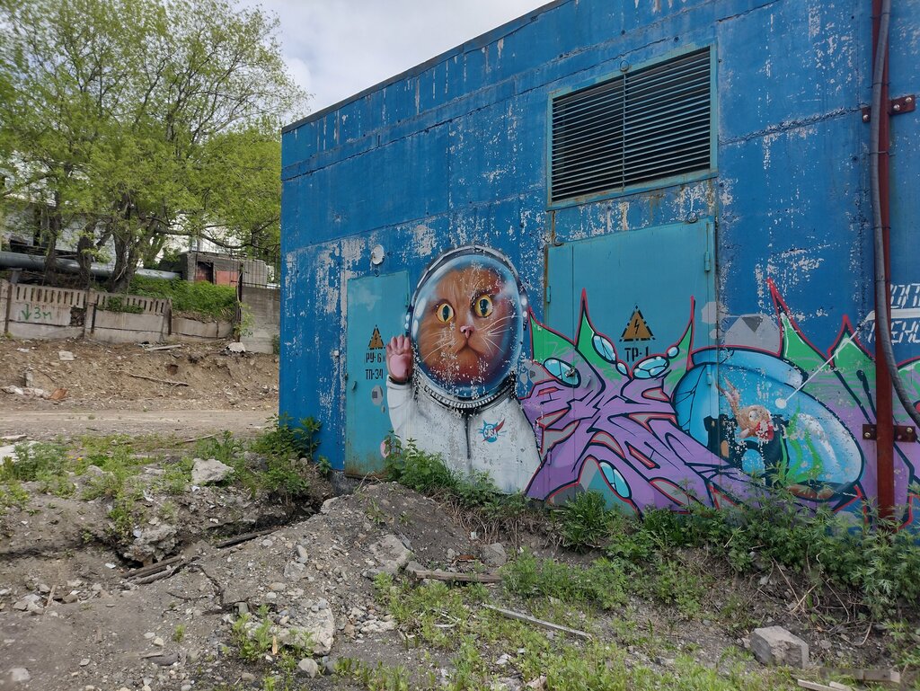 Sokak sanatı Street art, Petropavlovsk, foto