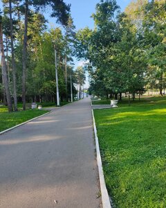 Аллея 120 лет Транссибу (Sverdlovsk Region, Yekaterinburg, alleya 120 let Transsibu), doğa  Yekaterinburg'dan