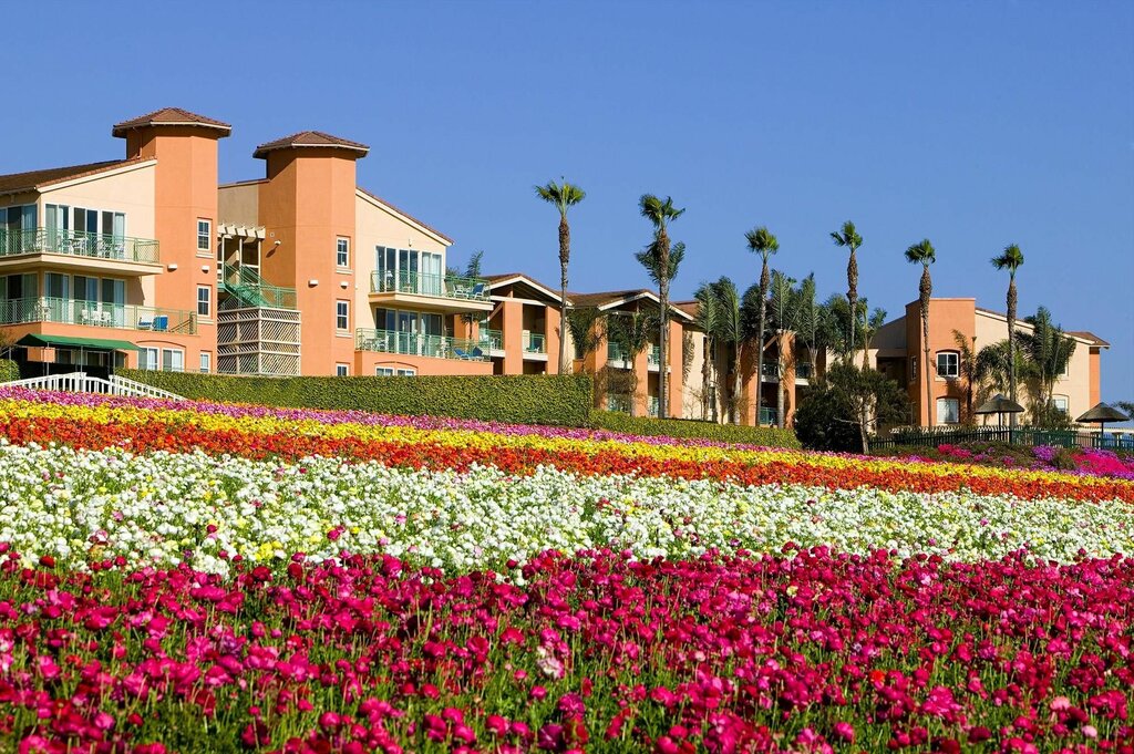 Otel Grand Pacific Palisades, Carlsbad, foto