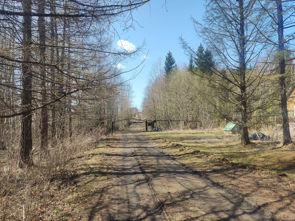 Kültür ve eğlence parkları дендрарий СевНИИЛХ, Arhangelskaya oblastı, foto