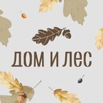 Dom i Les (Korabelnaya Street No:1), ev tekstili toptancıları  Moskova'dan