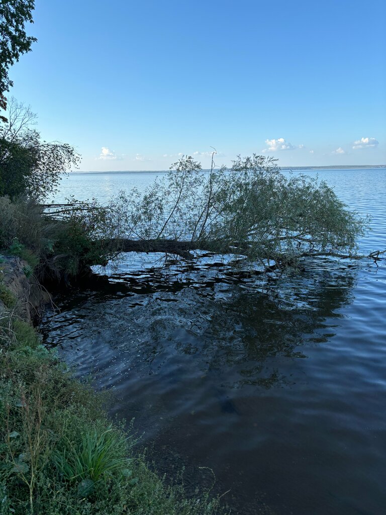 Piknik alanı Дикий лось, Tataristan, foto