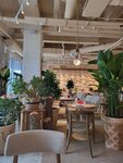 Kaspiika (Botyr Zakirov Street No:7), restoran  Taşkent'ten