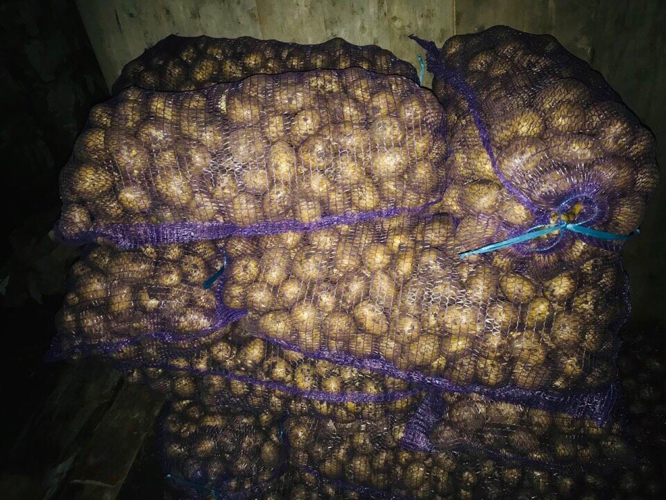 Tarım firmaları Aimetov Agro, Krasnoufimsk, foto