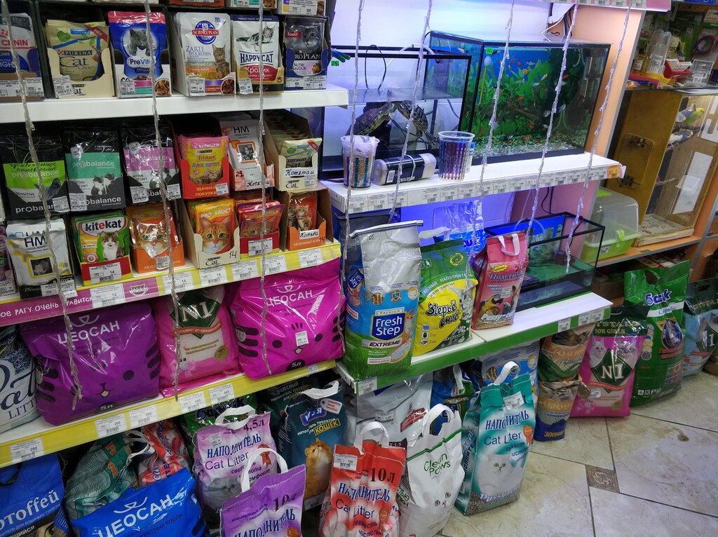 Petshop Pitomec, Bogoroditsk, foto