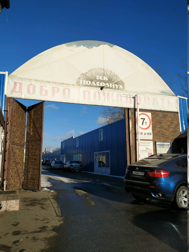 Alışveriş merkezleri Podsolnukh, Moskova ve Moskovskaya oblastı, foto