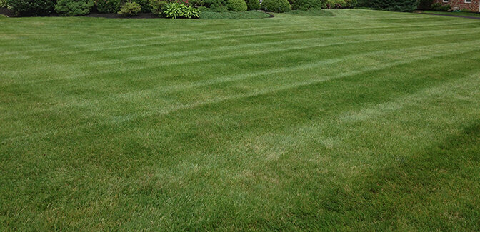 Bahçe ekipmanları ve teknolojileri Stewart Bros. Turf, LLC, Delaware Eyaleti, foto