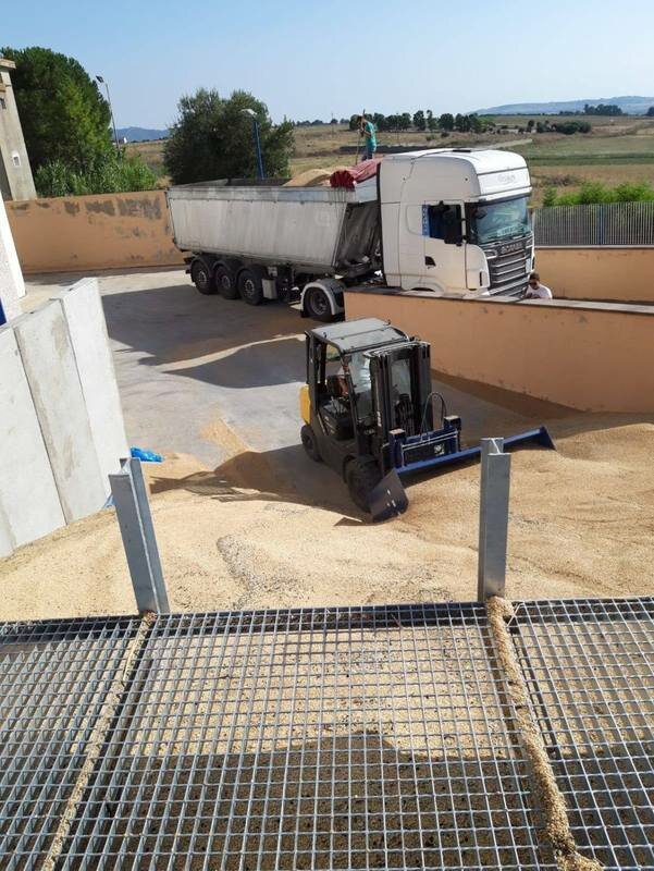 Sera ve bahçe ürünleri Agri-Piga S. R. L., Sardunya, foto