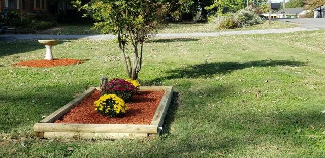 Bahçe ekipmanları ve teknolojileri Dlw Lawn Care, Landscaping & Snow Removal, Tennessee Eyaleti, foto