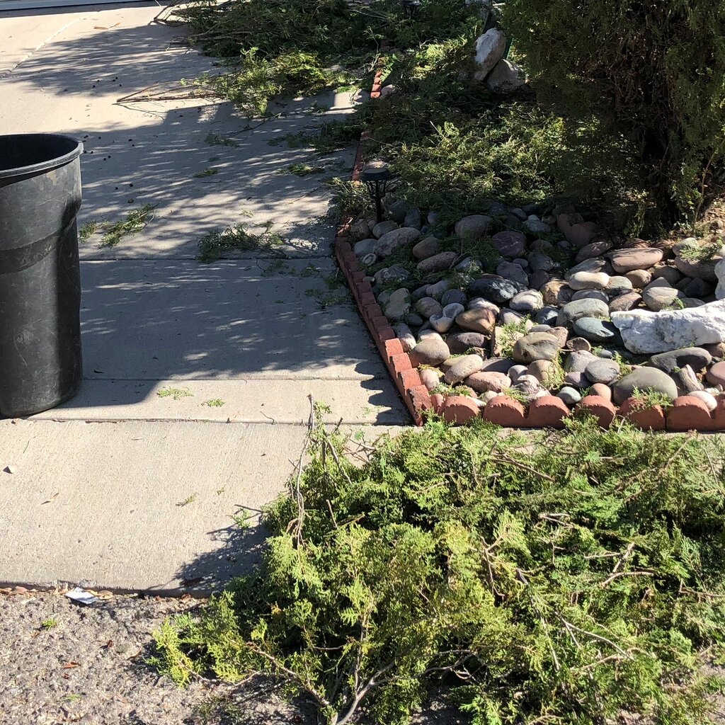 Bahçe ekipmanları ve teknolojileri All Yard Work, Tucson, foto