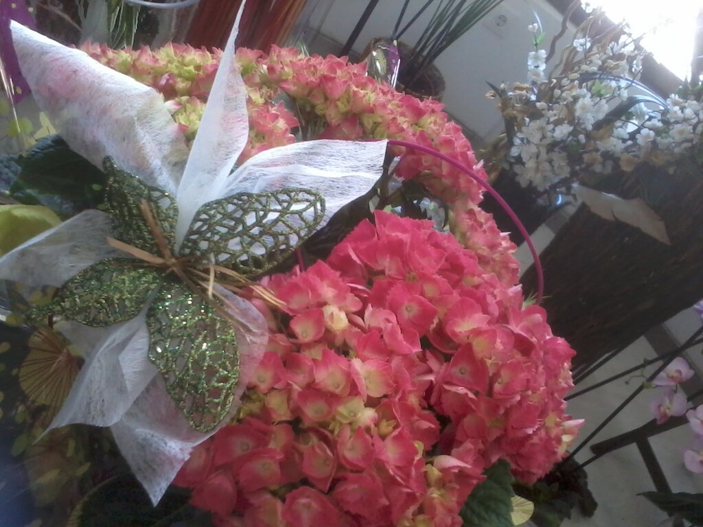 Kuaförler Raices Peluqueria Floristeria S. C., Burgos, foto
