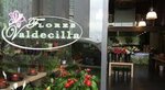 Flores Valdecilla (Calle Padre Rábago No:16, Santander), çiçek teslimatı  Santander'den