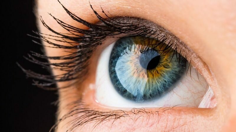 Optik cihazlar ve ekipmanlar Bontempelli D. ssa Giulia - Ambulatorio Oculistico, Parma, foto