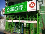 Zoomagazin Aibolit (ulitsa imeni M.Yu. Lermontova No:29), petshop  Saratov'dan