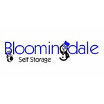 Bloomingdale Self Storage (Florida, Hillsborough County, Brandon), depo hizmetleri  Brandon'dan