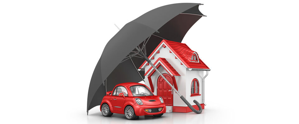 Sigorta şirketleri Omega Insurance Agency Tampa Auto Insurance, Home Insurance & More, Tampa, foto