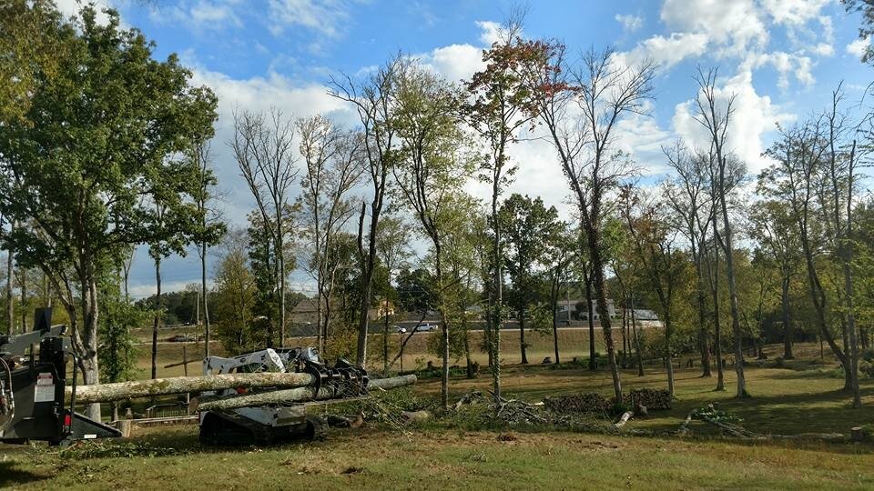 Bahçe ekipmanları ve teknolojileri East Tn Tree Service, Tennessee Eyaleti, foto