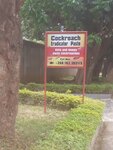 Cockroach Eradicator Paste (Manda Hill Road No:3788), ev temizlik ürünleri  Lusaka'dan