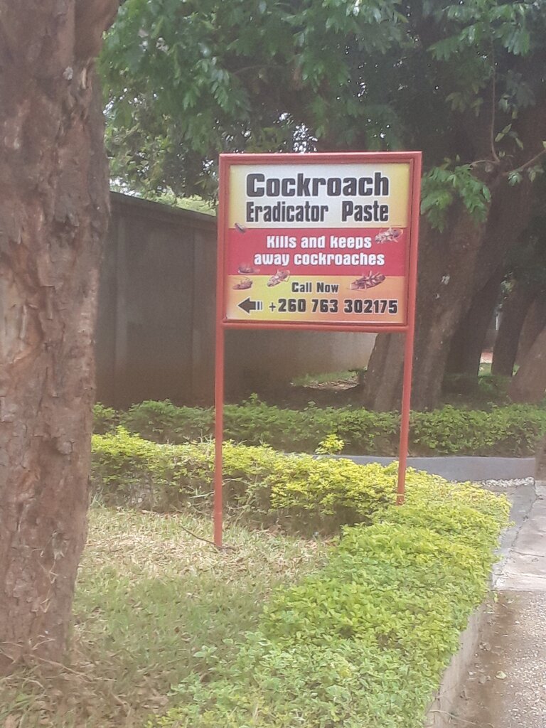 Ev temizlik ürünleri Cockroach Eradicator Paste, Lusaka, foto