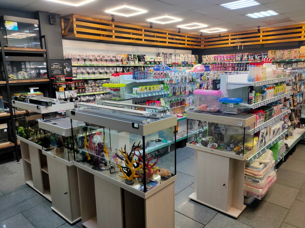Petshop Pet Store ZooMir, Birobidgan, foto