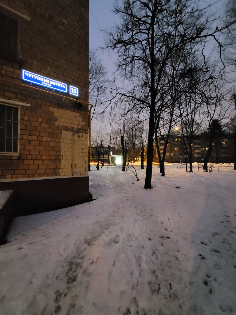 Toplu taşıma durağı Chugunnye Vorota Street, Moskova, foto