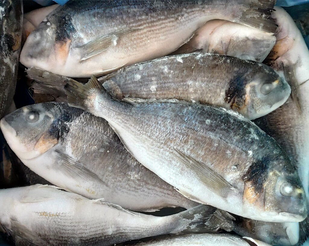 Balık ve deniz ürünleri Дары моря, Dzerjinski, foto