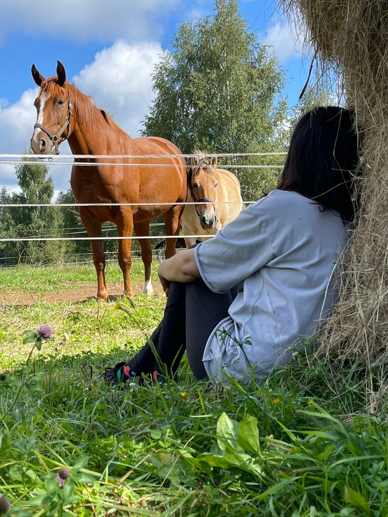 At ve binicilik kulüpleri Диалог, Moskova ve Moskovskaya oblastı, foto