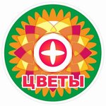 Cvety Plyus (No:7, 4-y mikrorayon), çiçekçiler  Tixvin'den