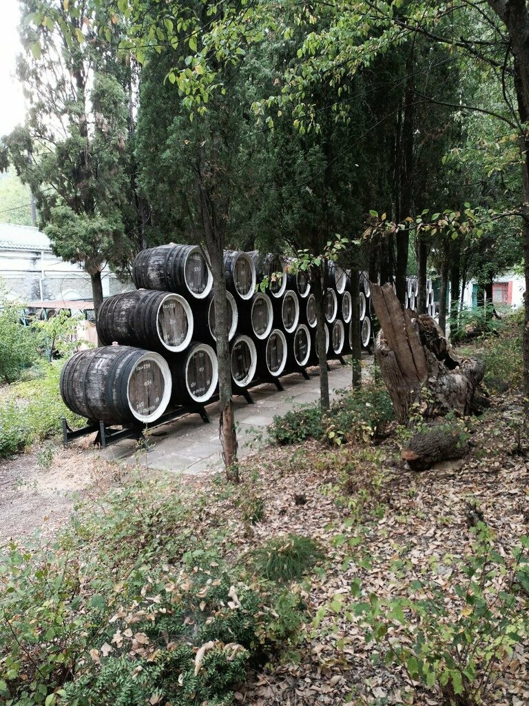 Turistik yerler Винный подвал имения Ореанда, Kırım Cumhuriyeti, foto
