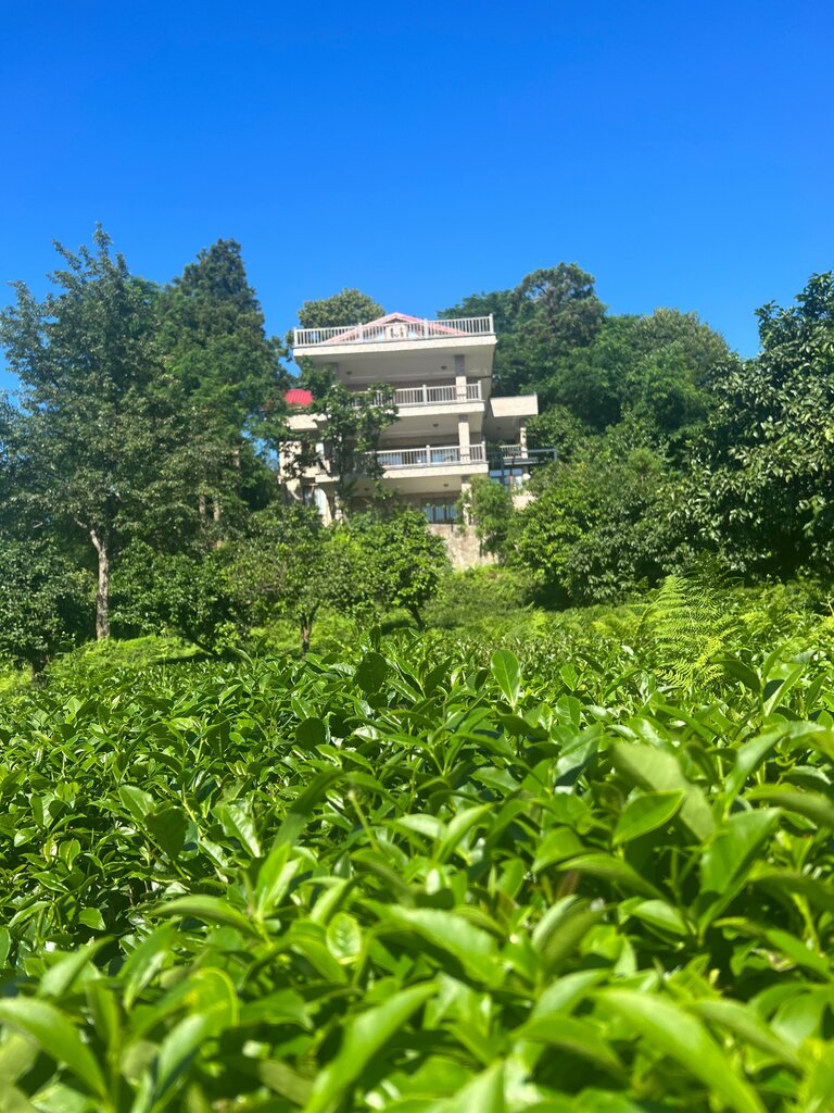 Pansiyonlar, hosteller Loidevilla, Kemalpaşa, foto