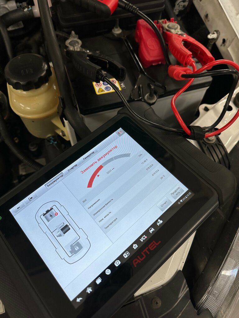 Tuning Reprog, Brianskaya oblastı, foto