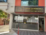 Lotus Gayrimenkul (Aydınlıkevler Mah., Çağdaş Sok., No:20, Altındağ, Ankara), emlak ofisi  Ankara'dan