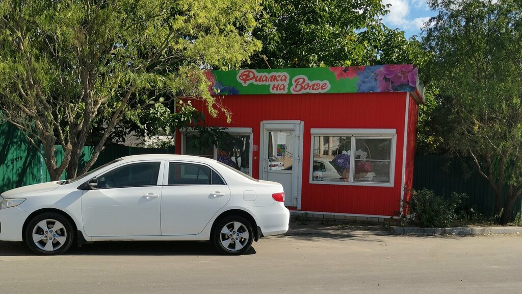 Çiçekçiler Магазин сортовых фиалок, Volgograd, foto