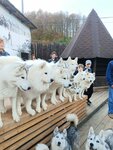 Хаски центр (Krasnodar Territory, Sochi Resort City Urban District, Krasnaya Polyana Resort), evcil hayvan yetiştiricileri  Soçi'den