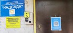 Центр помощи детям, оставшимся без попечения родителей Надежда (Galiullina Street No:29/2), çocuk esirgeme kurumu  Magnitogorsk'tan
