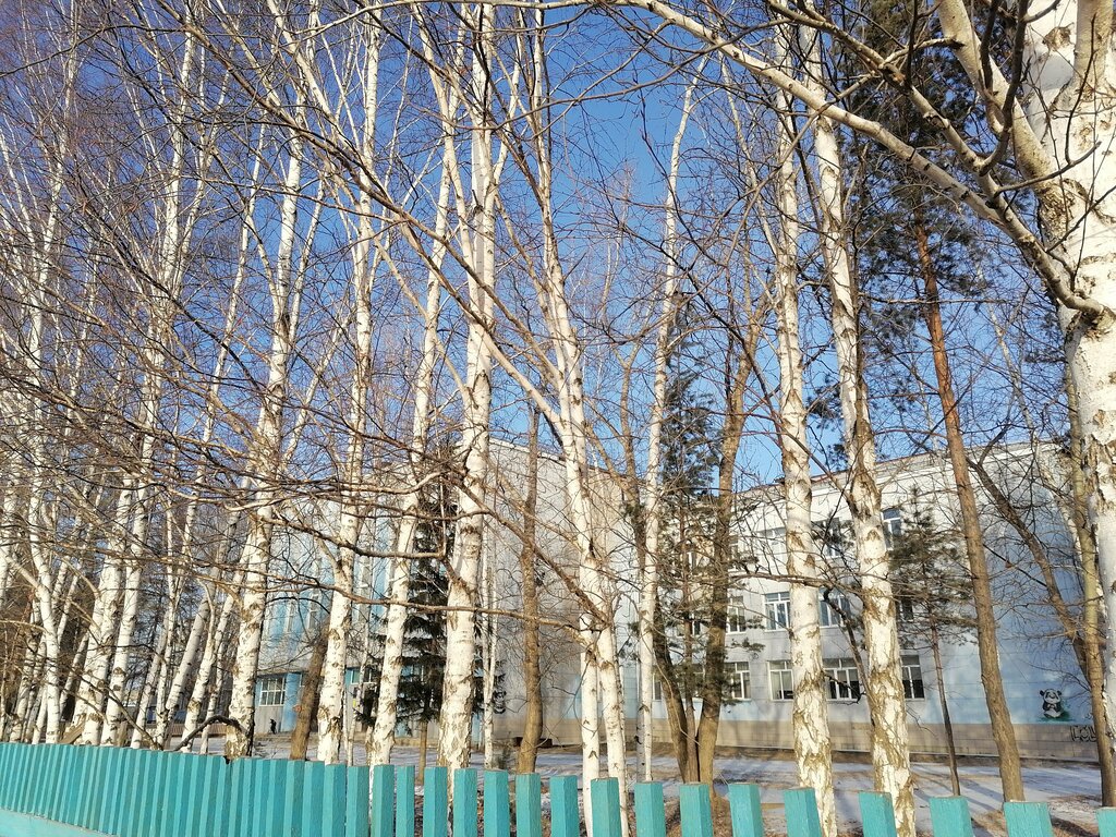 Ortaokul Mkou Tayezhninskaya srednyaya obshcheobrazovatelnaya shkola № 7, Krasnoyarski krayı, foto