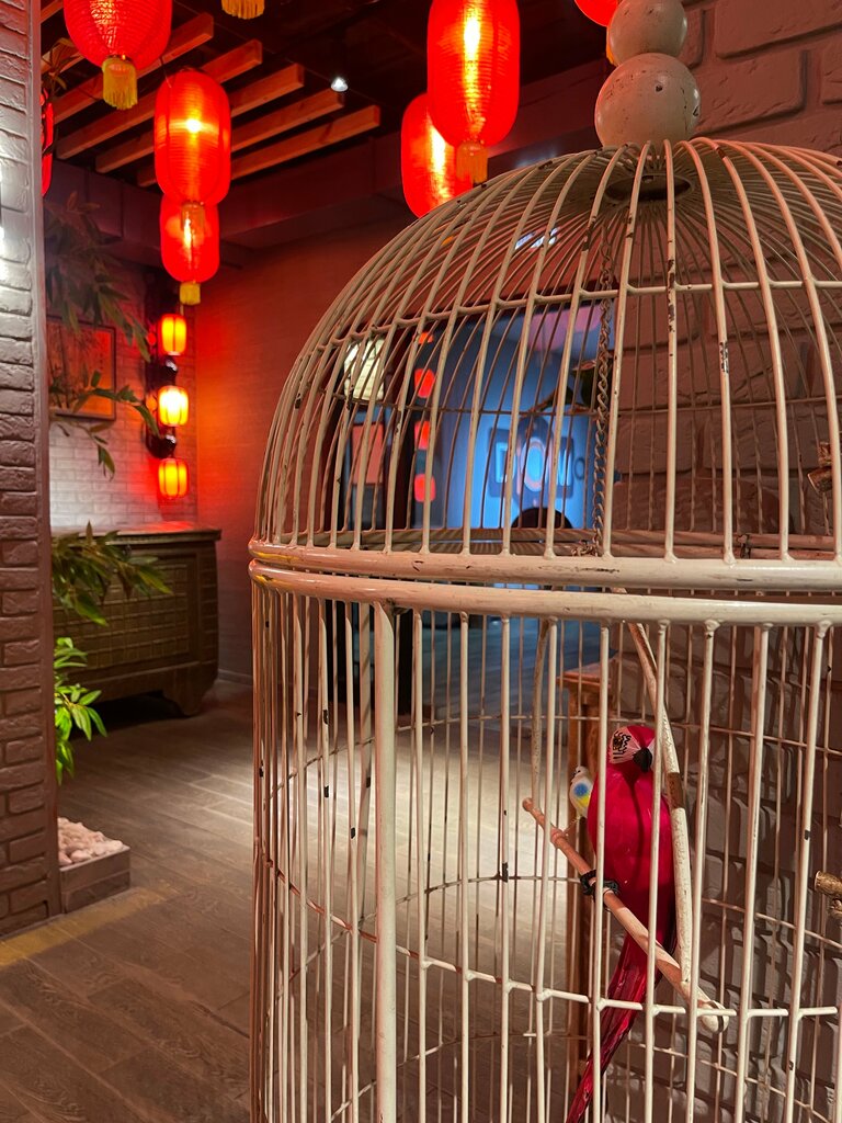 Restoran Peking duck, Karağandı, foto