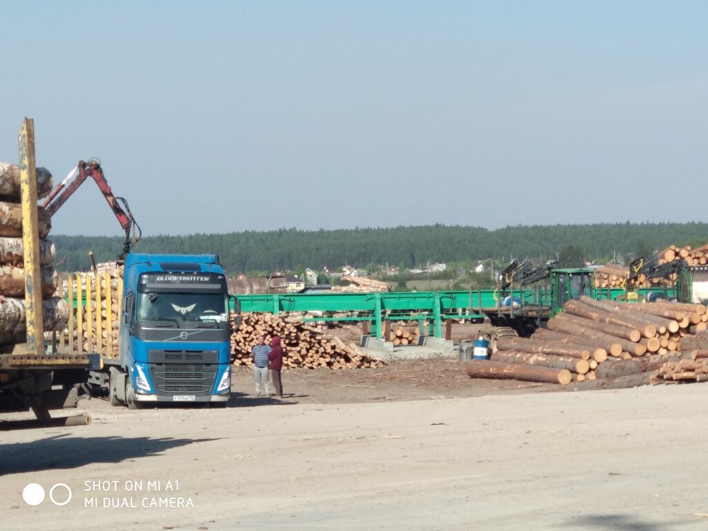 Kerestecilik, ağaç satışı Парк инновационных технологий, Sverdlovskaya oblastı, foto