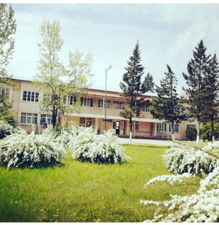 Ortaokul Абгархукская абхазская средняя школа имени Михаила Цушба, Gudauta Bölgesi, foto