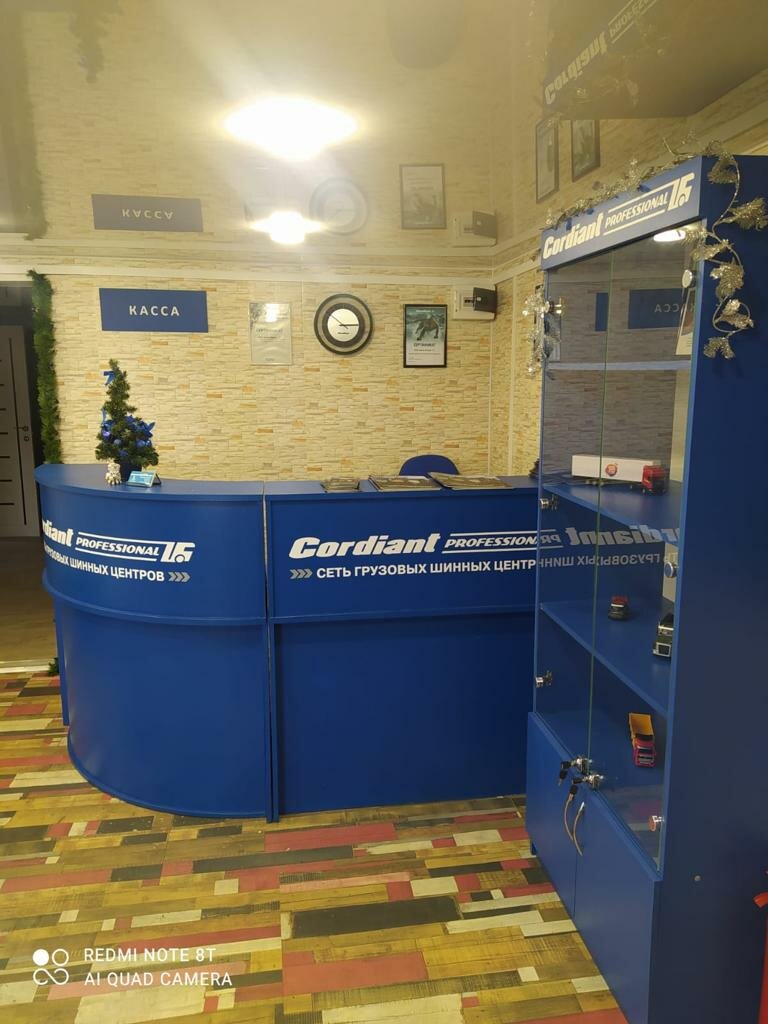 Jant ve lastikçiler Cordiant, Moskova ve Moskovskaya oblastı, foto