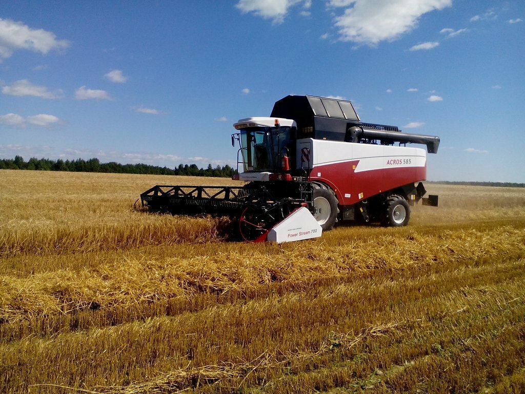 Hayvancılık Kfh Mekhanikovoy A. A., Vologodskaya oblastı, foto