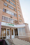 Cactus (No:21, mikrorayon Stepnoy), güzellik salonu  Stariy Oskol'dan