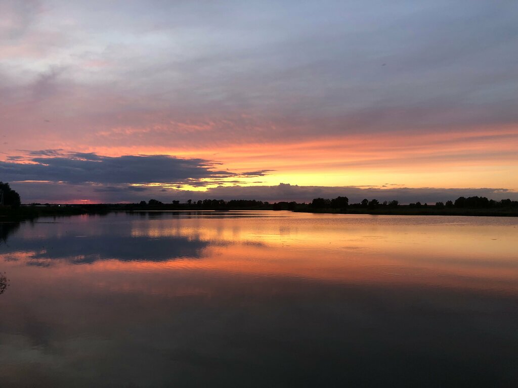 Plaj Beach, Moskova ve Moskovskaya oblastı, foto
