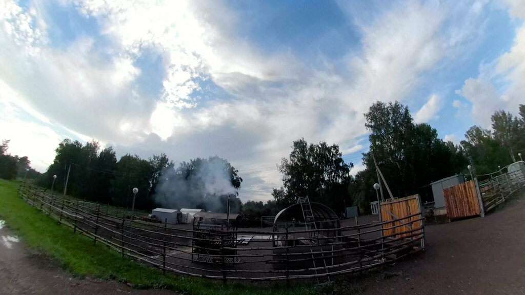 Kiralama noktası Bobby Dog, , foto